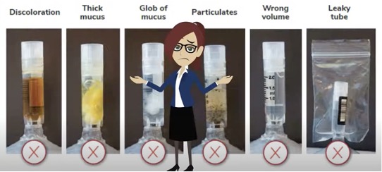 Health & Safety - KIPP Chicago Public Schools